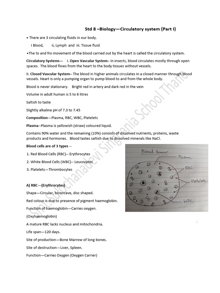 Ciculatory System - Part I | PDF | Blood | Red Blood Cell