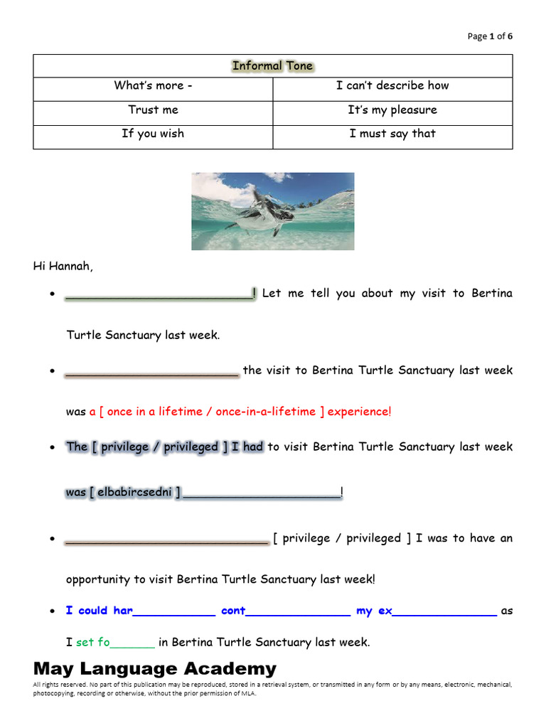 Visiting A Turtle Sanctuary - Essay Model | PDF | Wildlife | Zoology