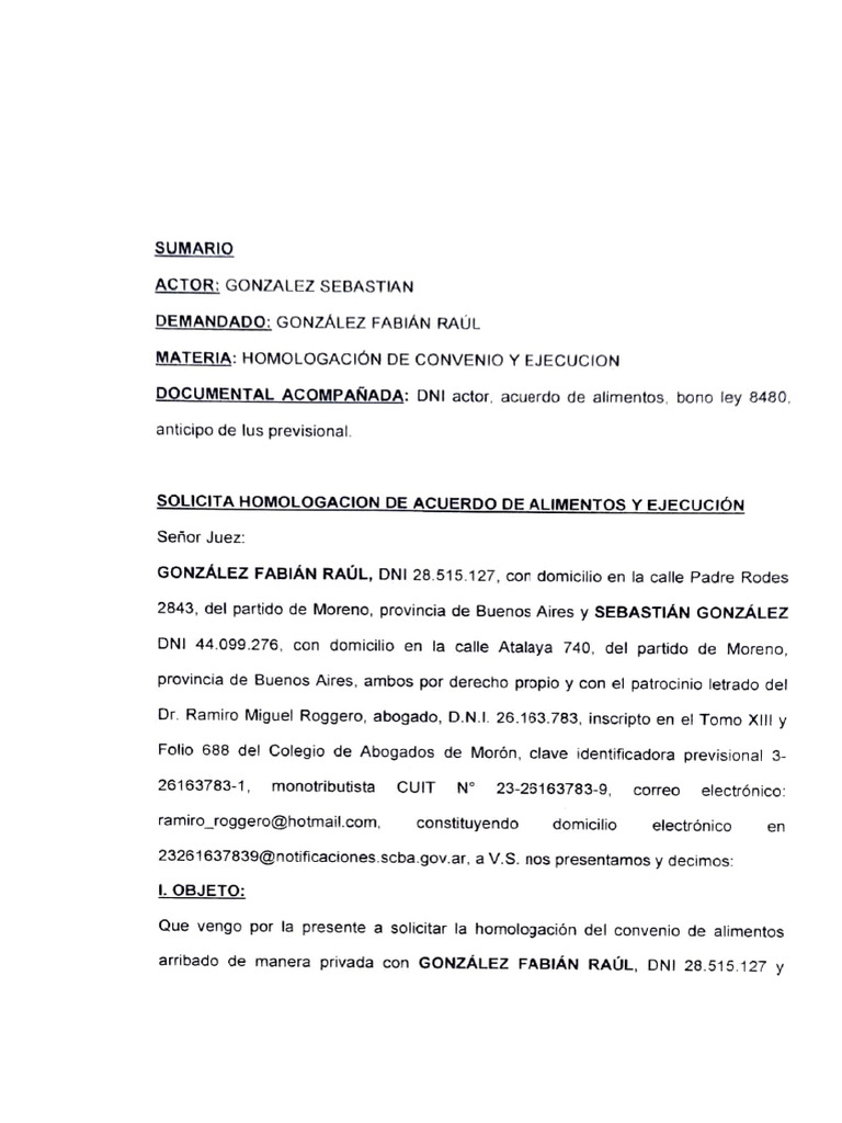 MODELO - Demanda Ejecucion Acuerdo Homologado - Convenio Alimentos 1 | PDF