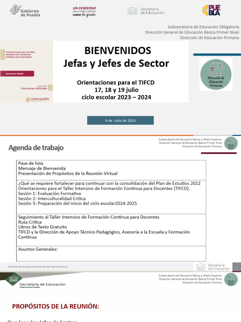Presentación Sesión Virtual Con JS Orientaciones TIFCD - 4 Julio | PDF | Evaluación | Educación ...
