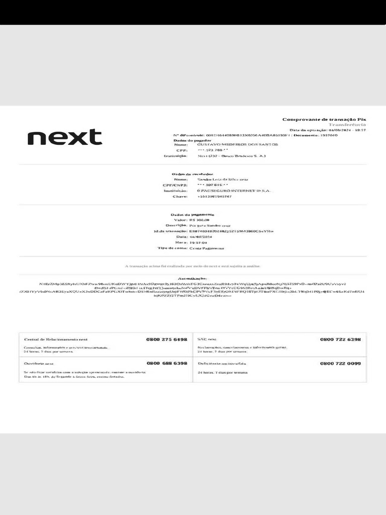 SAC nn1: N-: Custavoml' Irosoossant | PDF