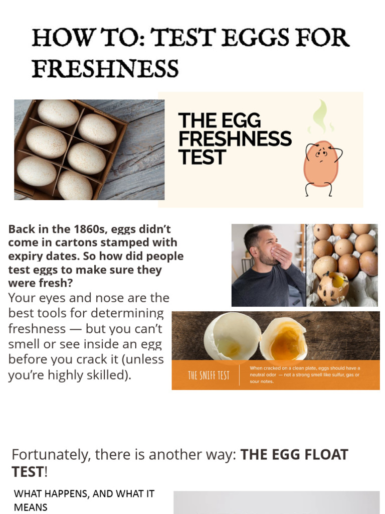 Testing The Egg Freshness | PDF