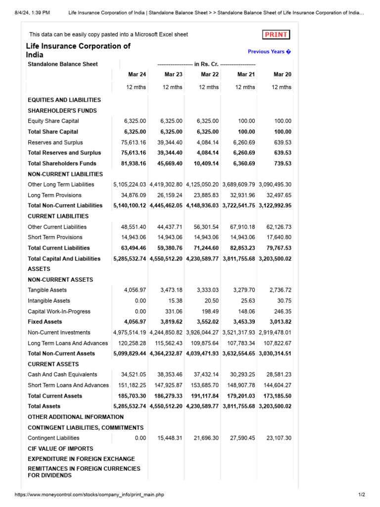Company Info - Print Financials | PDF | Balance Sheet | Equity (Finance)