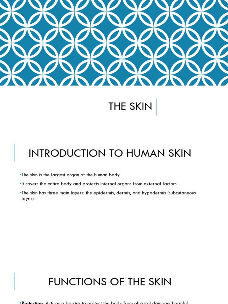 The Skin & Ear Notes | PDF | Ear | Skin