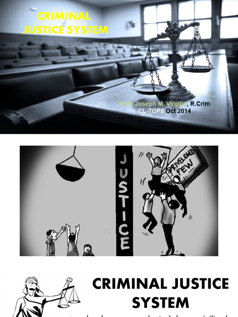 Criminal Justice | PDF | Prosecutor | Appellate Court