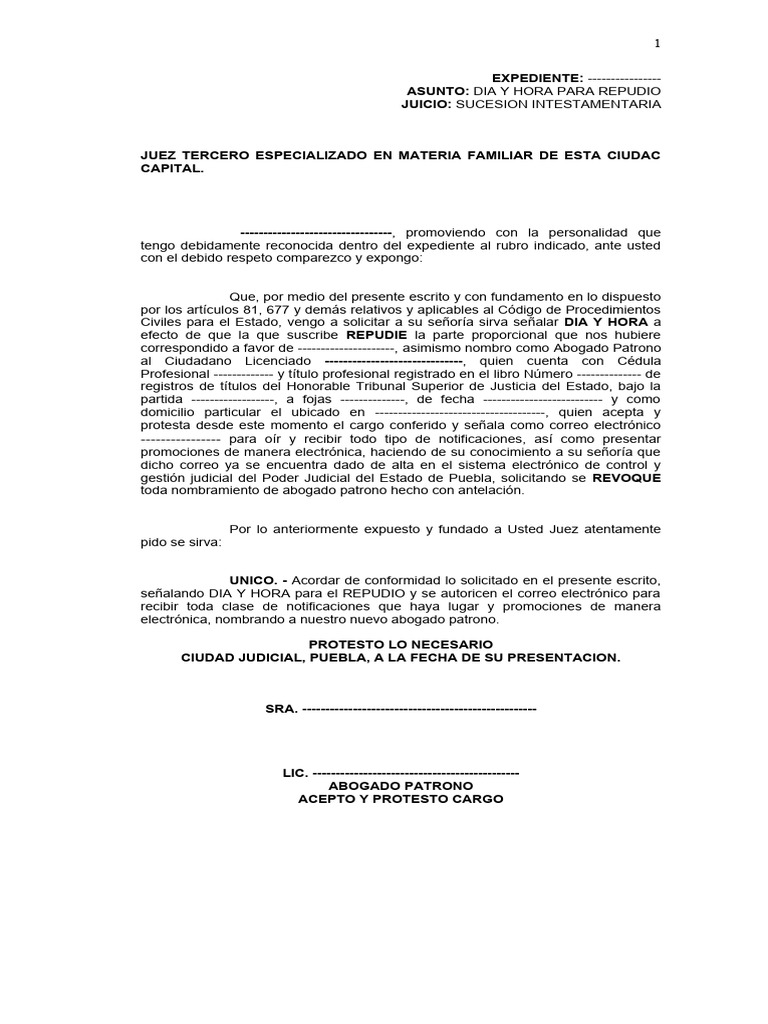 Formato Repudio | PDF | Ley Pública | Gobierno