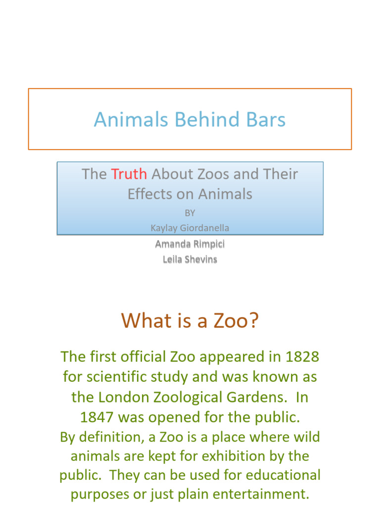Animals Behind Bars | PDF | Zoo | Psychosis