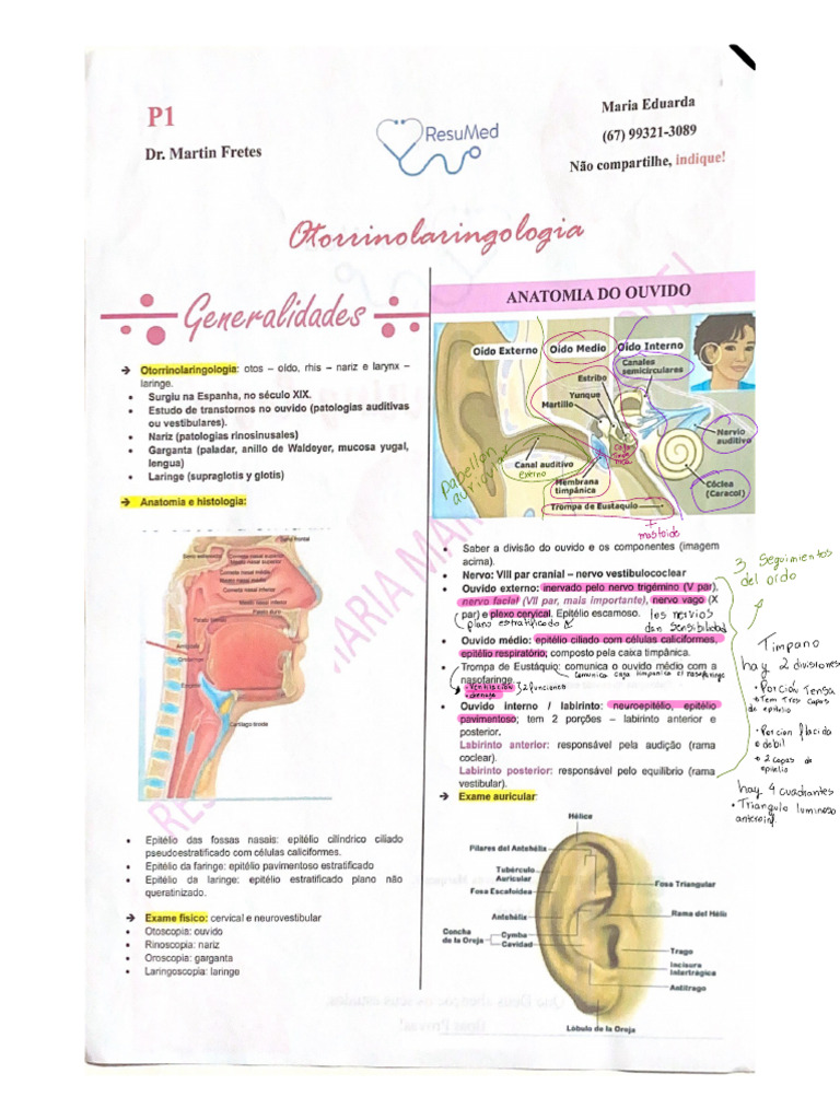 Nervis: Seguimentos | PDF | Oído | Otorrinolaringología