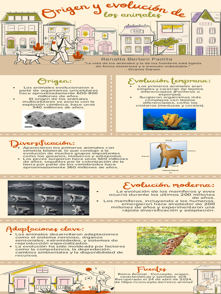Origen y evolución de los animales | PDF | Evolución | Naturaleza
