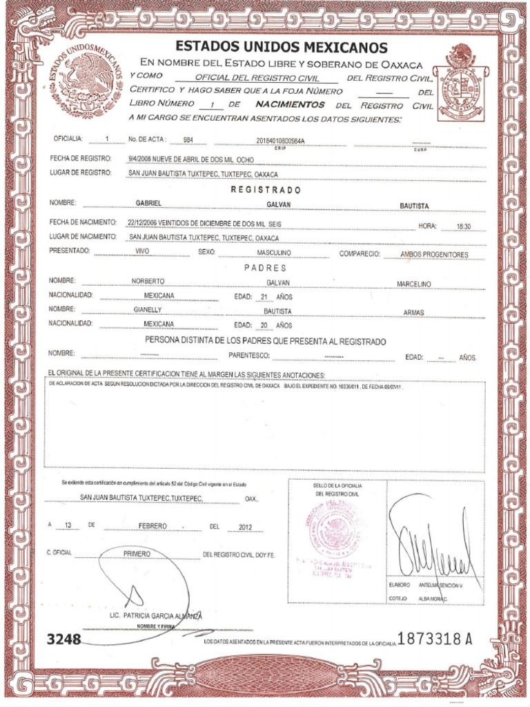 1cv Galvan Bautista Gabriel PDF | PDF
