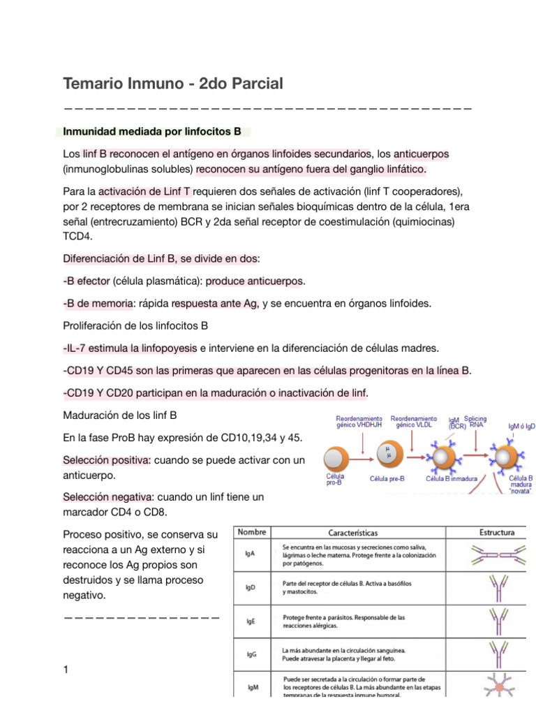Temario Inmuno - 2do Parcial | PDF | Sistema inmune | Anticuerpo
