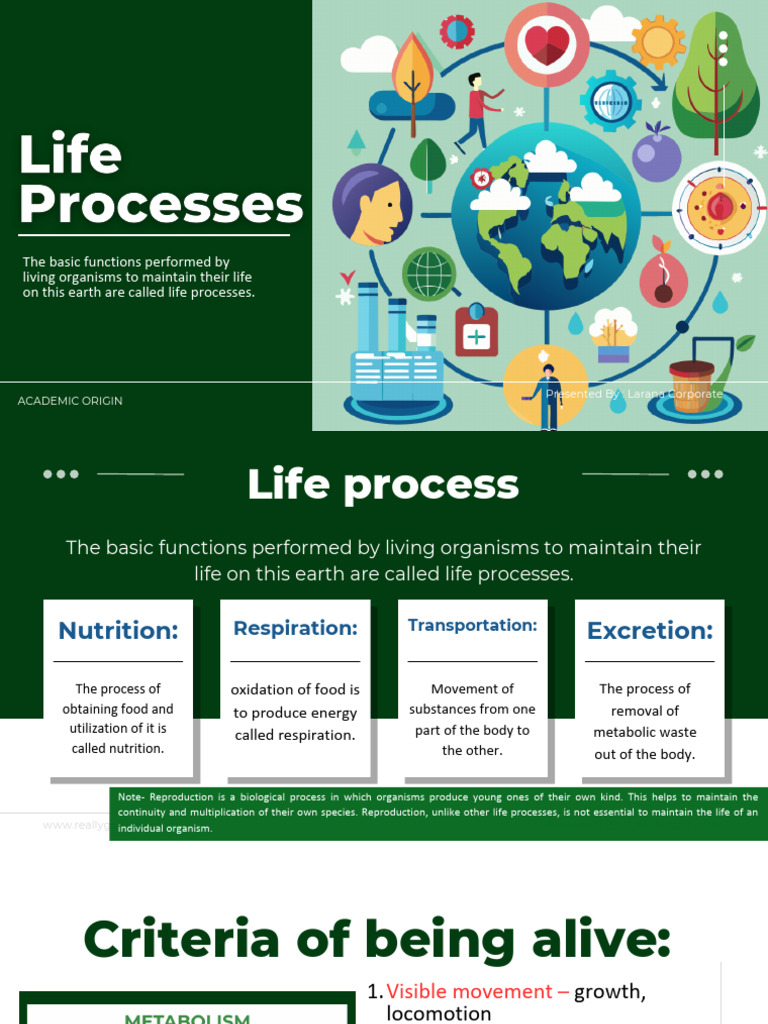 Understanding Life Processes in Organisms | PDF | Digestion | Nutrition