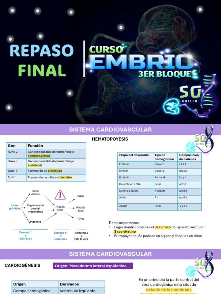 Repaso 3 Embrio 2024 | PDF | Sistema digestivo humano | Sistema reproductivo