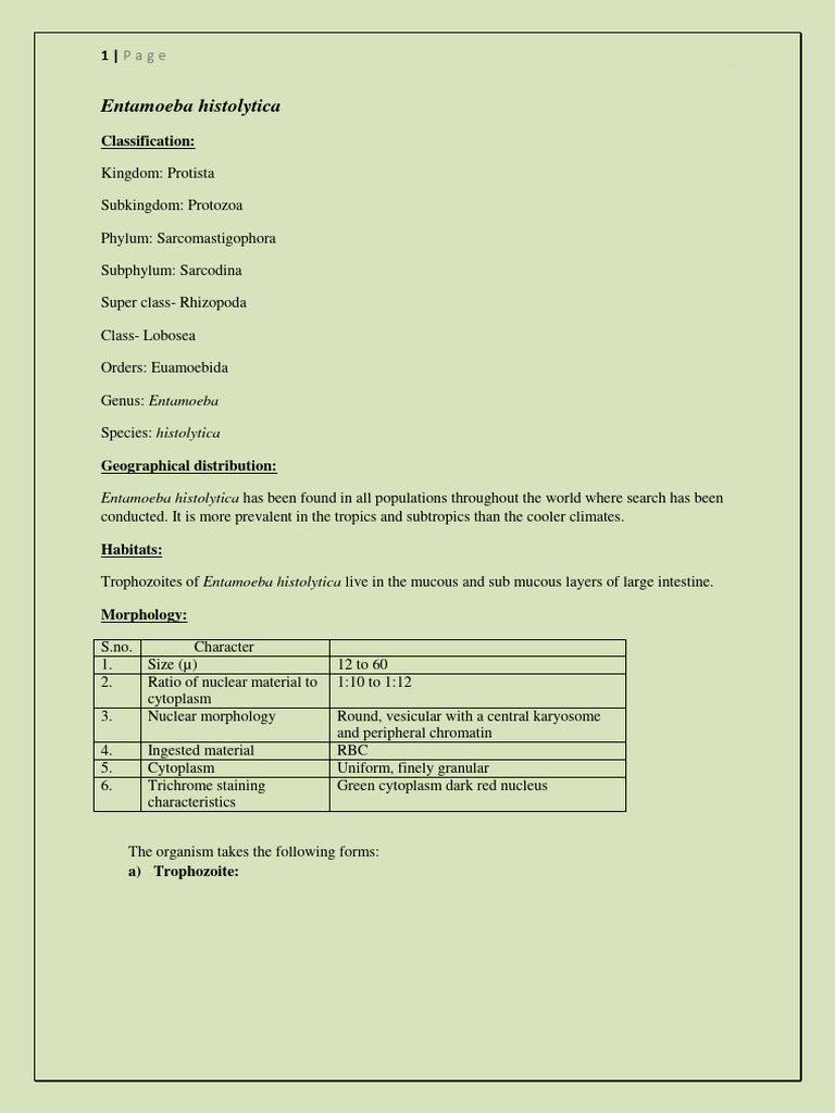Entamoeba Histolytica | PDF | Medical Specialties | Biology