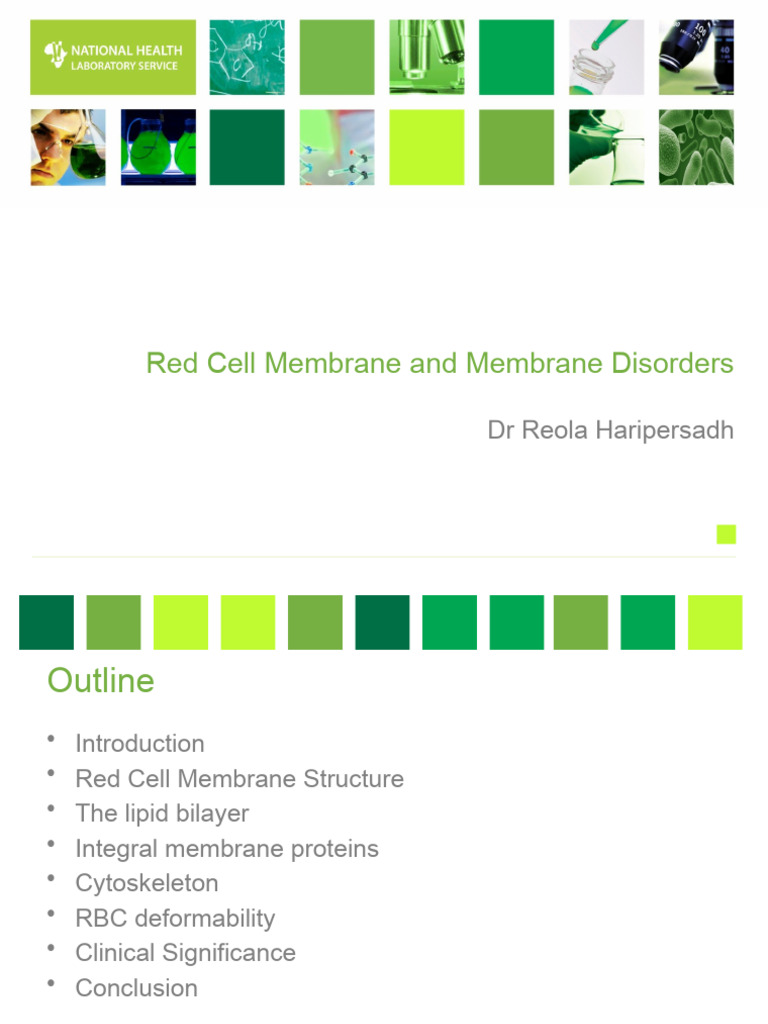 Red Cell Membrane Disorders Explained | PDF | Red Blood Cell | Cell ...