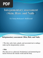 STAR Skin Tear Tool 04022010 | PDF | Skin | Wound