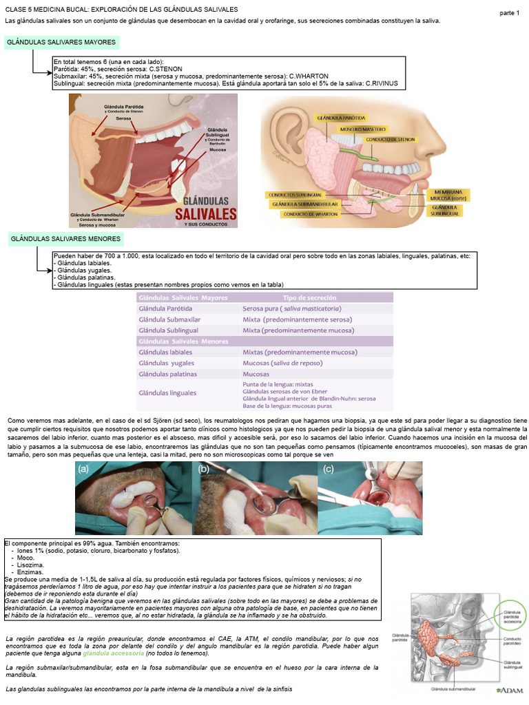 Clase 5 Med Bucal | PDF | Biopsia | Anatomía humana