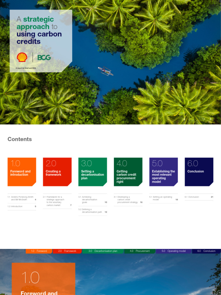 Shell BCG Report | PDF | Climate Change Mitigation | Procurement