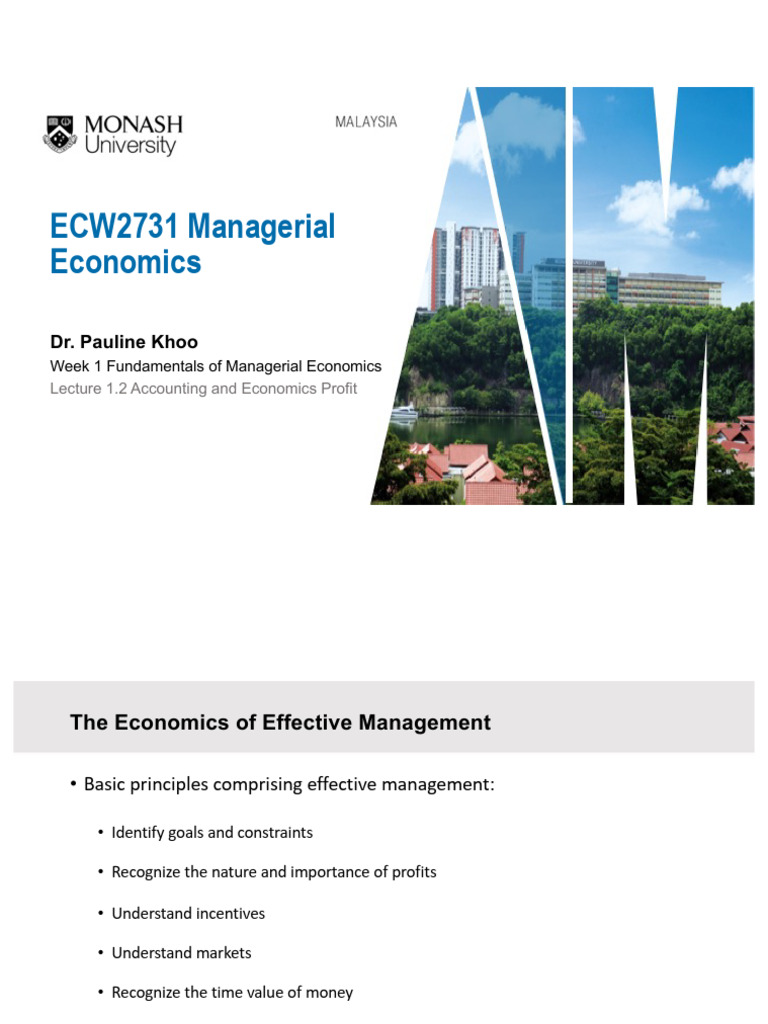 Lecture 1 Part 2 Profits | PDF | Profit (Economics) | Economics