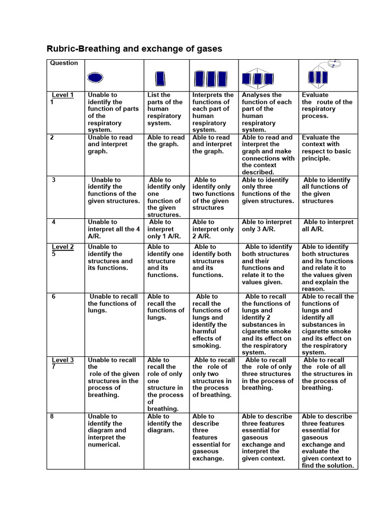 Rubric-Breathing and Exchange of Gases | PDF | Lung | Breathing