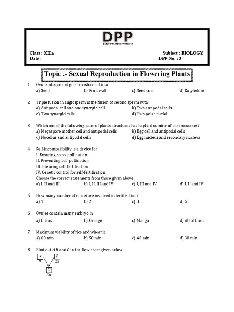 DPP 2 | PDF | Fertilisation | Plant Morphology