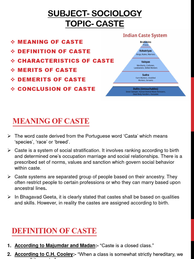 Caste System | PDF | Caste | Social Inequality