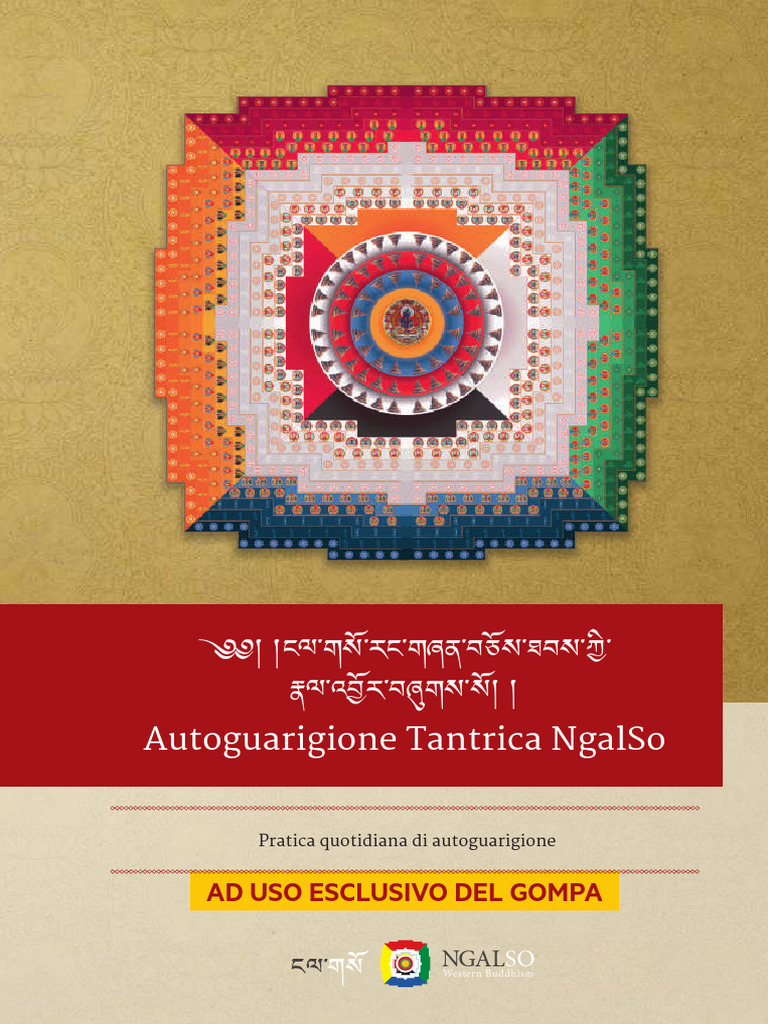 SD SH Daily ITA | PDF