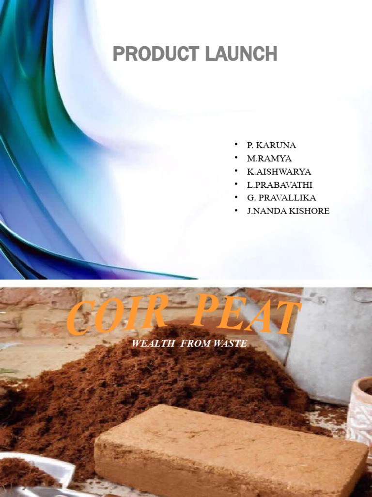 Product Launch | PDF