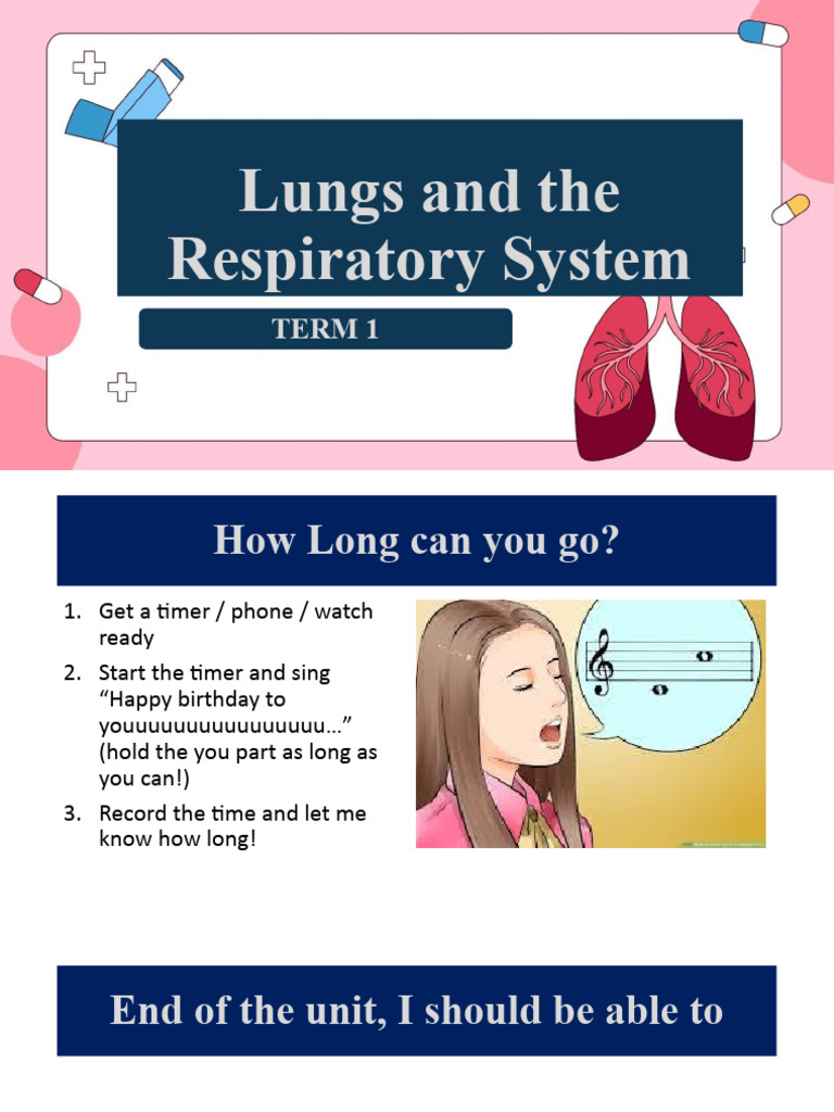 Lungs and The Respiratory System | PDF | Respiratory System | Lung