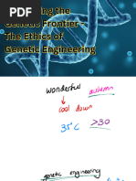 NAPLAN Narrative Marking Guide | PDF | Language Mechanics | Grammar