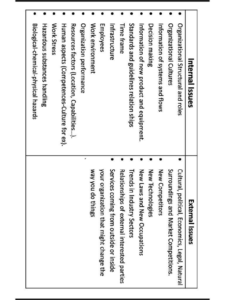 Internal and External Issues | PDF
