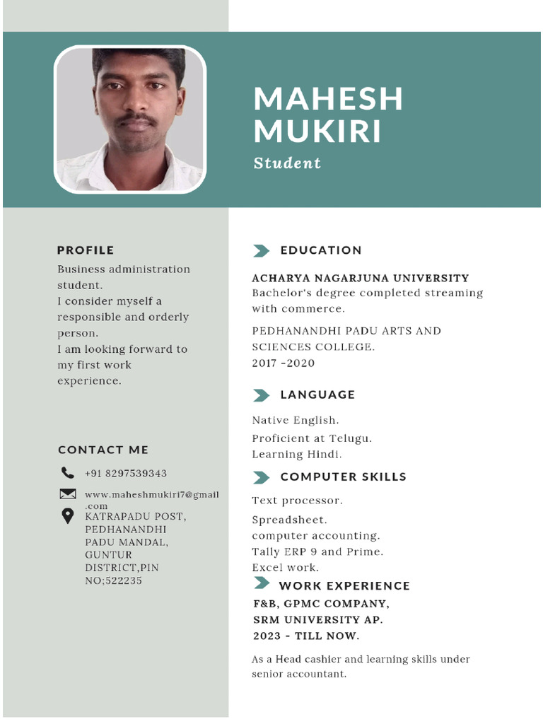 Mahesh's Resume | PDF