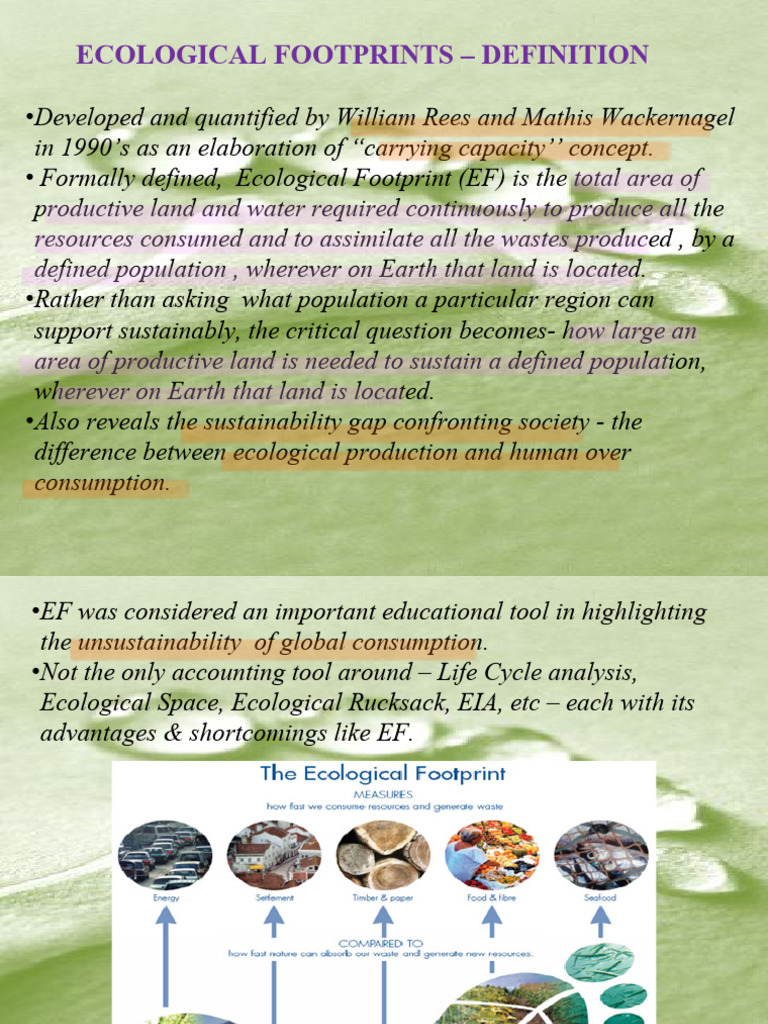 Understanding Biocapacity and Footprints | PDF | Ecology | Biodiversity