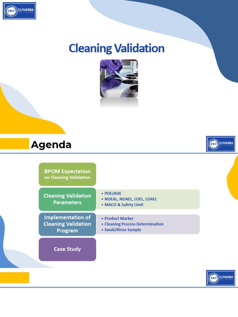 EMS - Webinar Cleaning Validation | PDF