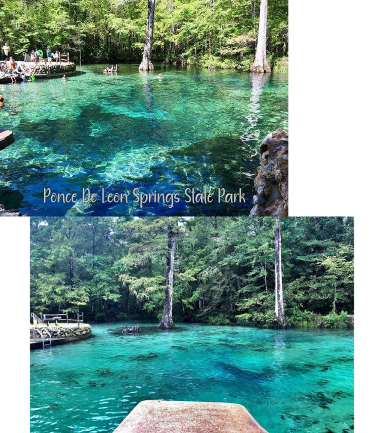 Ponce de Leon Springs Florida | PDF