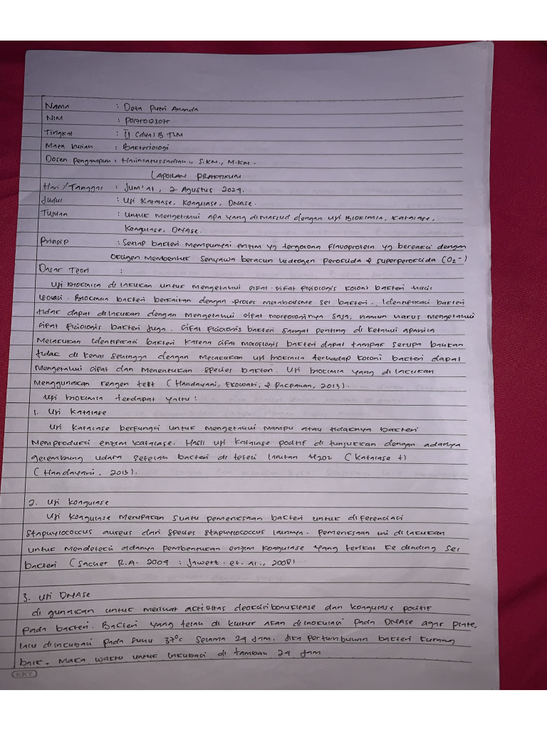 Deta Putri Ananda (P01750123075) | PDF