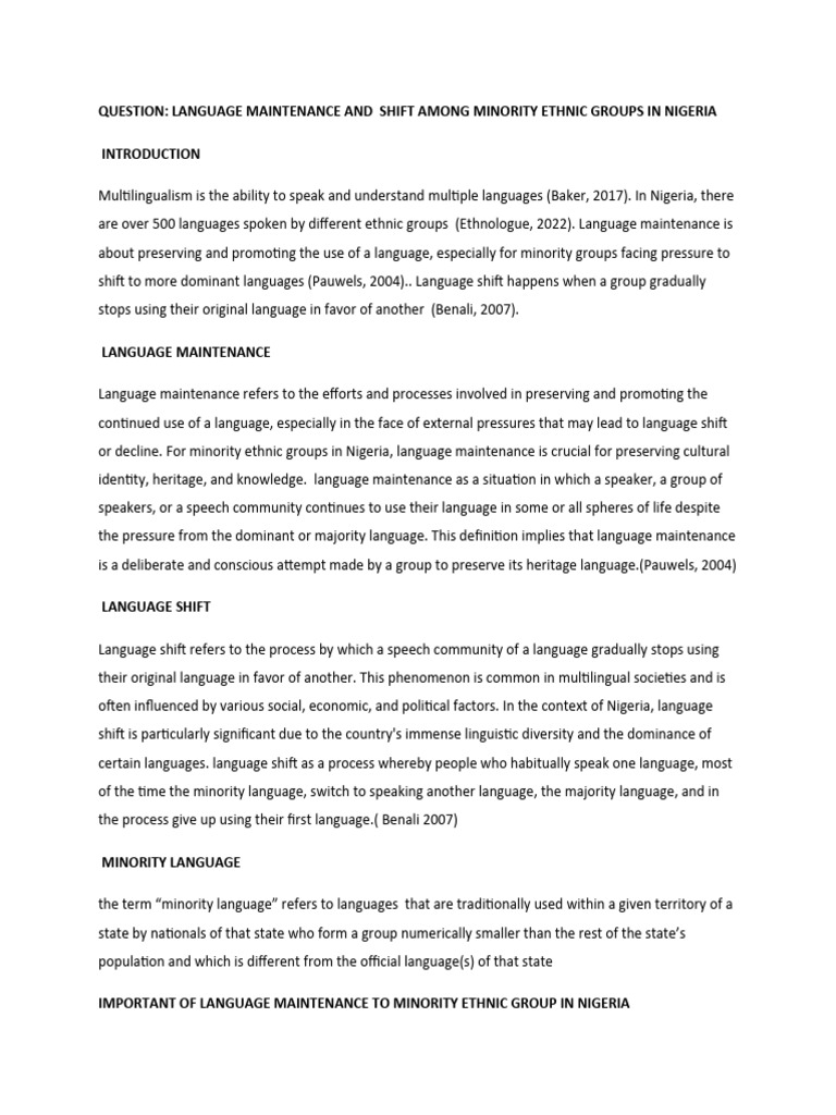 Group 17 Multilingualism Assignment 1 | PDF | Multilingualism | Minority Group