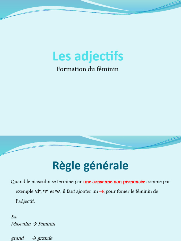 Les Adjectif (Feminin) | PDF