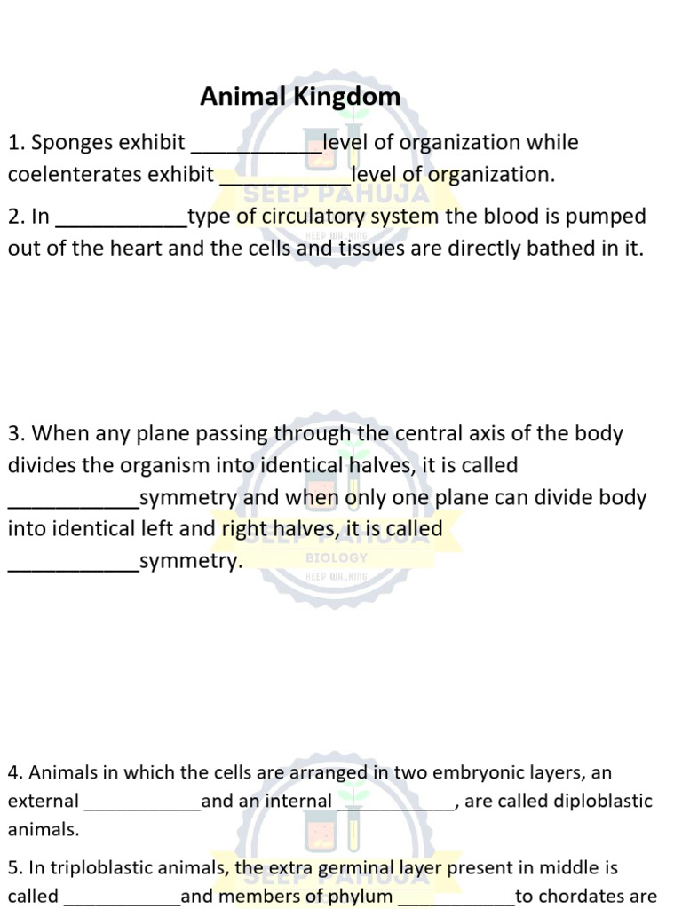 Overview of Animal Kingdom Classifications | PDF | Zoology
