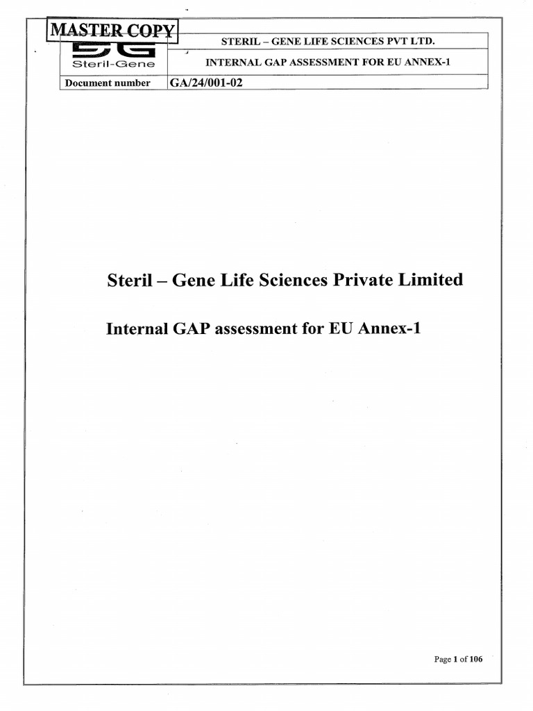 GAP Assessment | PDF