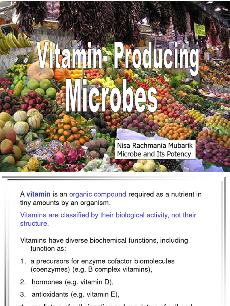 Mikrob Penghasil Vitamin | PDF | Vitamin B12 | Vitamin