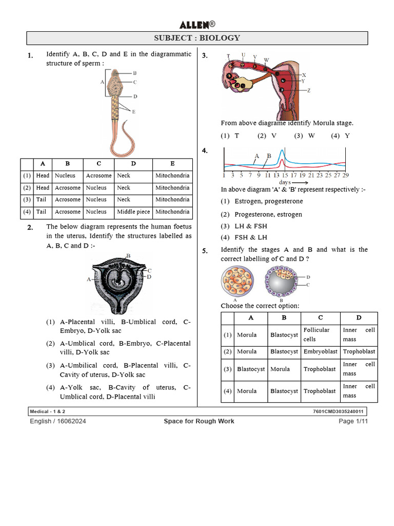 Pre Medical - Biology - Class Test 02 | PDF | In Vitro Fertilisation | Homo