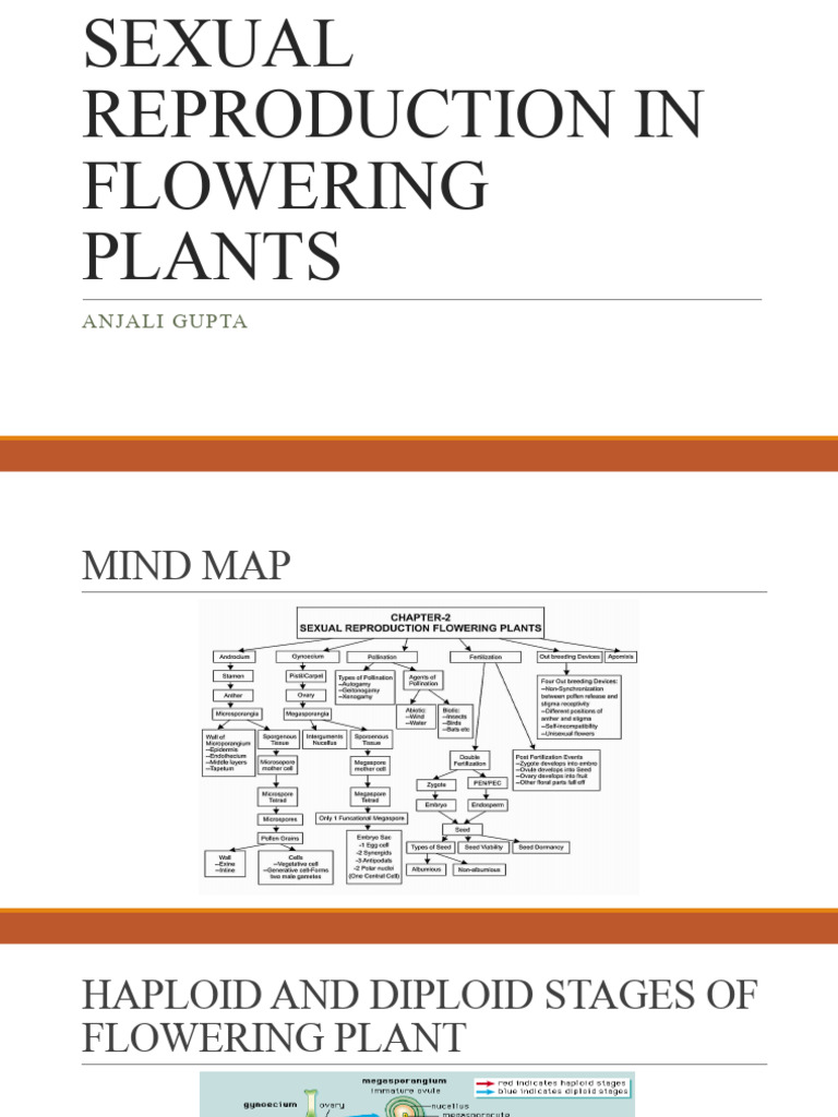 Sexual Reproduction in Flowering Plants | PDF | Pollen | Branches Of Botany