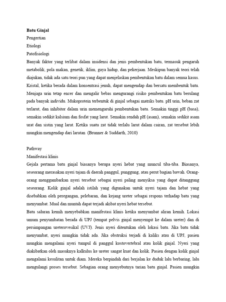Batu Ginjal | PDF | Ilmu Sosial | Kesehatan Holistik