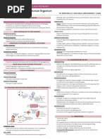 Medical Terminology Chapter 2 Study Guide | PDF