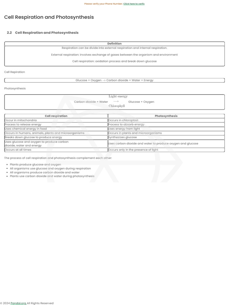 Cell Respiration and Photosynthesis | PDF