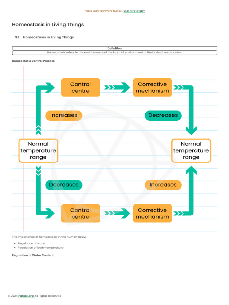 Homeostasis in Living Things | PDF | Thermoregulation | Homeostasis