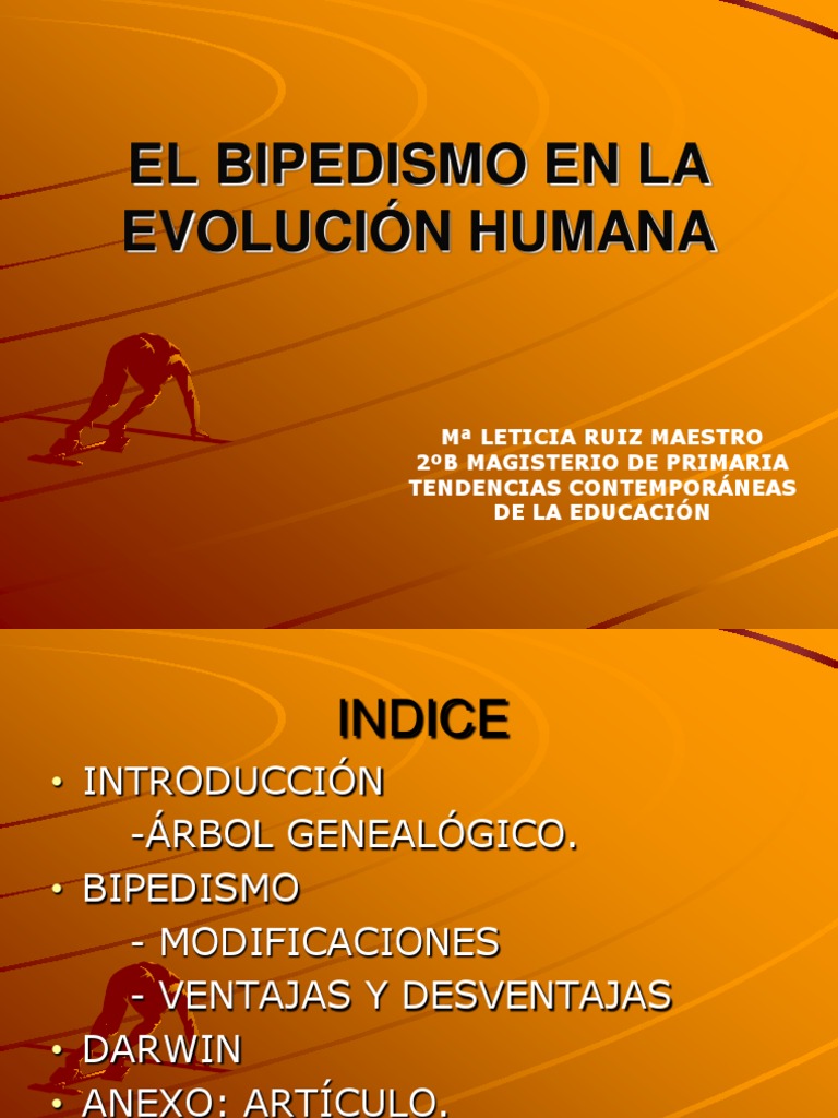 Importancia Del Bipedismo en La Evolución Humana | Evolución humana ...