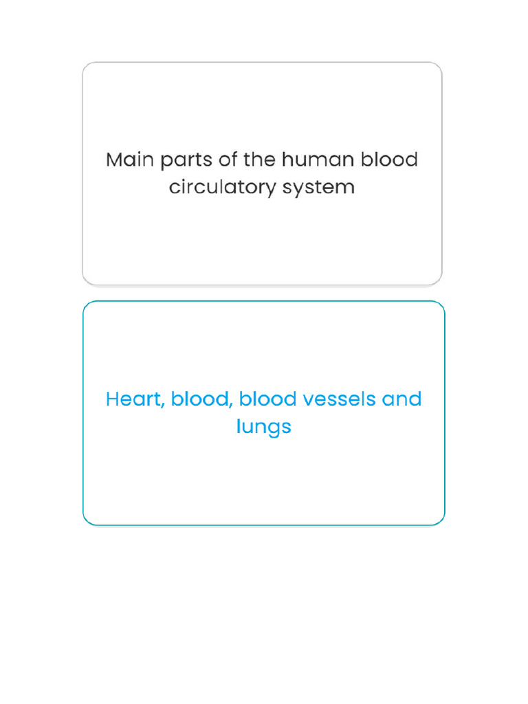 Year 5 Flash Card Circulatory System | PDF