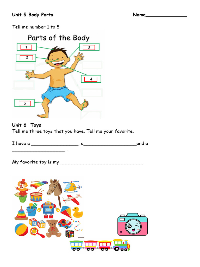 Unit 5 Body PartsName | PDF